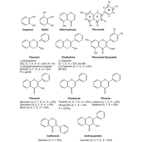 Basic Structures Of Polyphenols And Subclasses Of Flavonoids 16