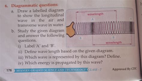 6 Diagrammatic Questionsa Draw A Labelled Diagram To Show The Longitu