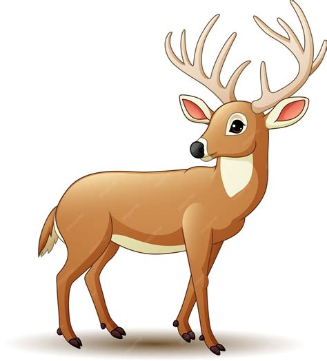 Premium Vector Cartoon Deer Isolated On White Background