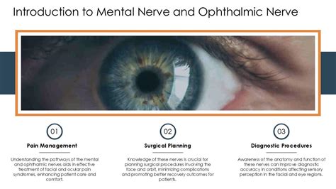 Mental Nerve Ophthalmic Ppt Slides Acp Ppt Slide