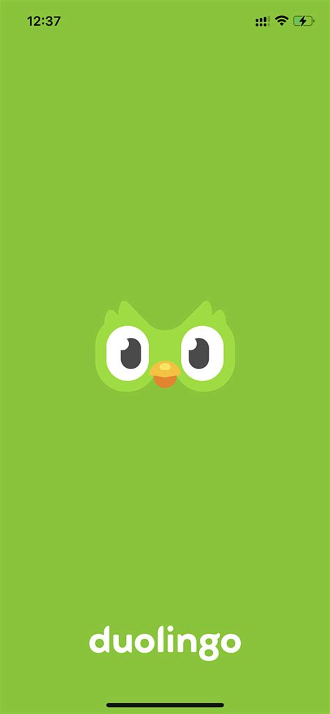 多邻国 品牌启动页