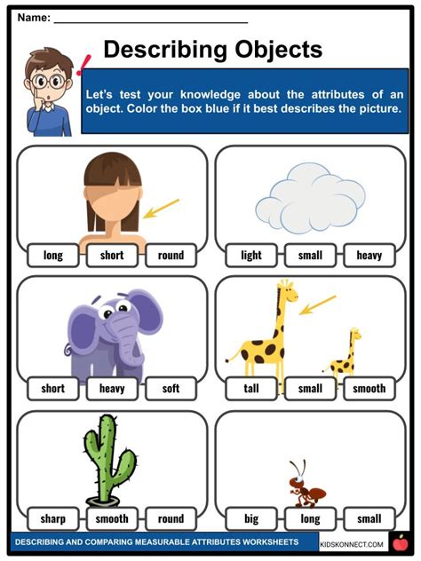 Describing And Comparing Measurable Attributes Facts And Worksheets