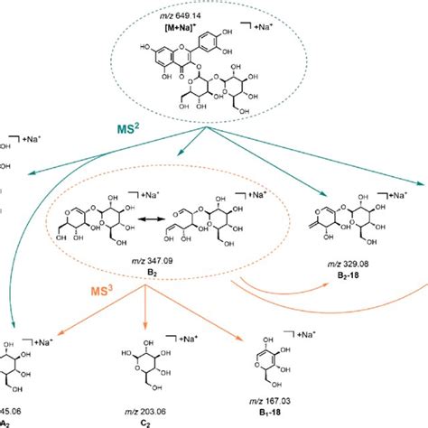 General Fragmentation Tree Of M Na Precursor Ion Of Download