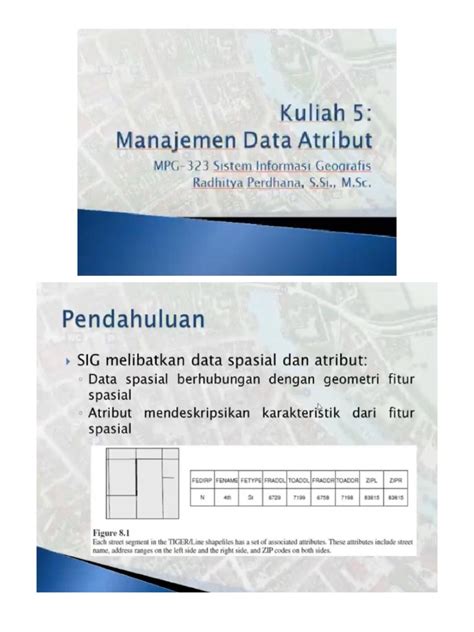 Manajemen Data Atribut Pdf