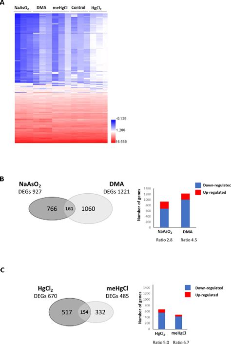 Microarray Analysis Of Gene Expression With Inorganic Vs Organic Download Scientific Diagram