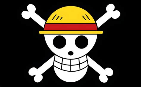 Jolly Roger Flagge Aus One Piece Wird Zum Weltweiten Symbol Des Protests