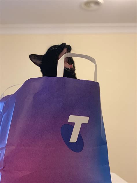 Mid Bite Classy Rpics