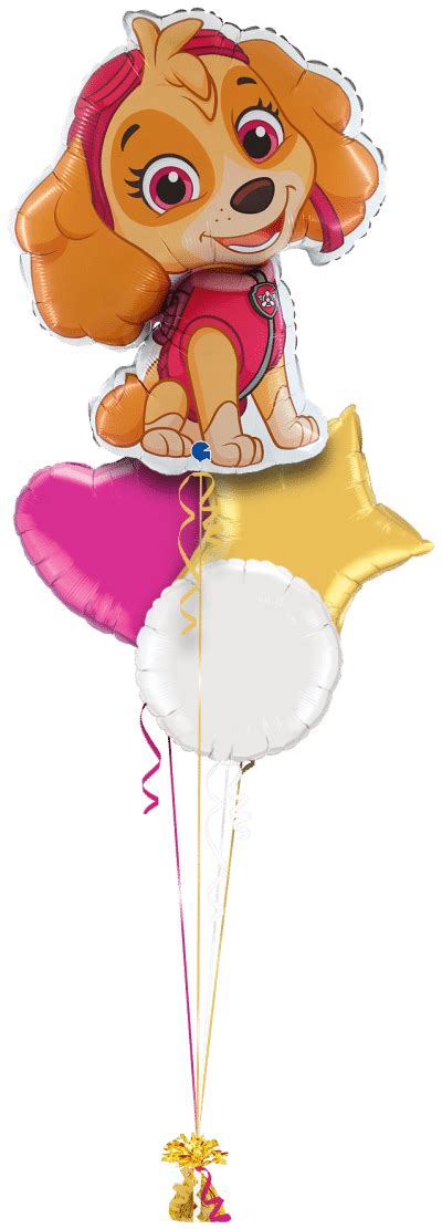 Paw Patrol Skye Balloon Delivery Balloon Monkey