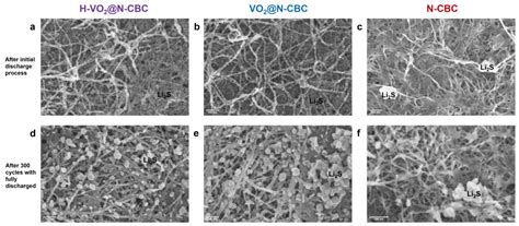 Electrocatalytic And Conductive Vanadium Oxide On Carbonized Bacterial Cellulose Aerogel For The
