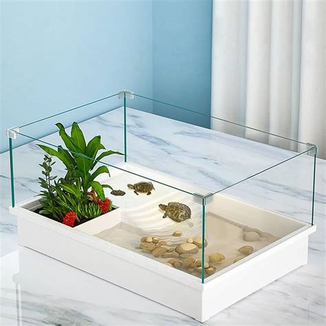 Pecera Tortuga Grande La Mejor Guía Para Tu Reptil Tortugas