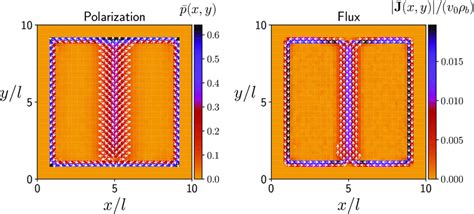 Polarization And Flux In A Confined System The Results Are Obtained