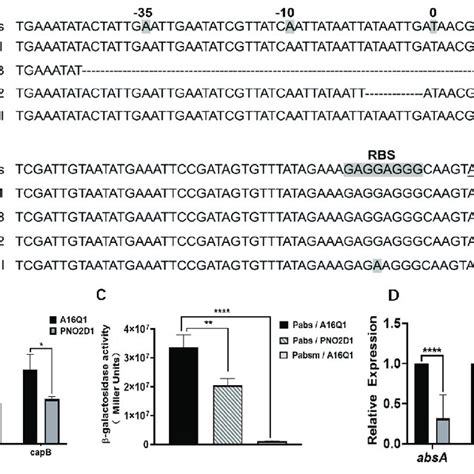 Strains And Plasmids Used In This Study Download Scientific Diagram