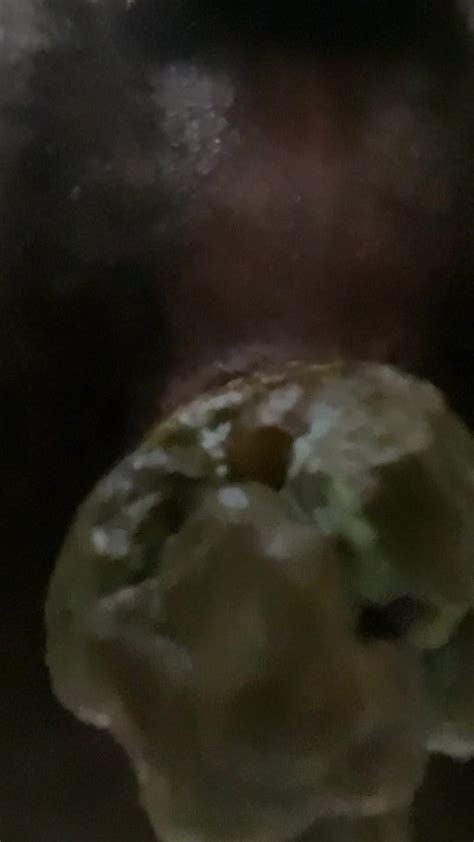 Pov Youre My Human Toilet Thisvid Com