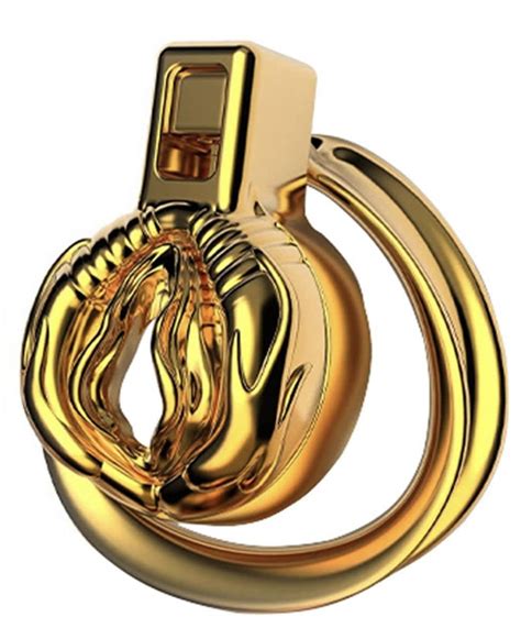 What Is The Best „clitty Cage Rchastity