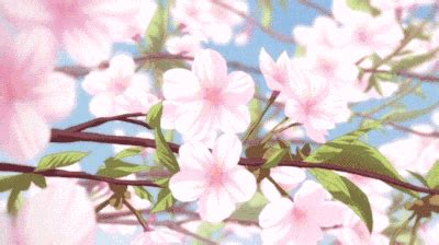 Sakura  Sakura Discover And Share S