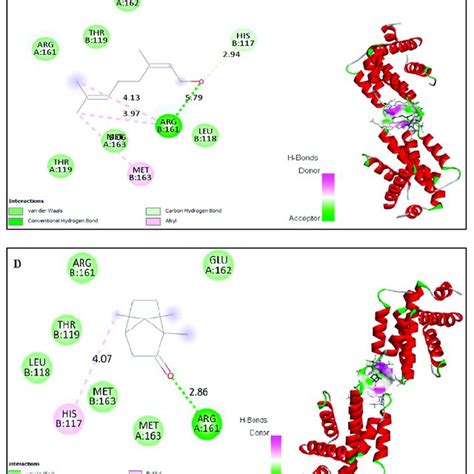 In Silico Docking Of Binding Interactions Of The Constituents