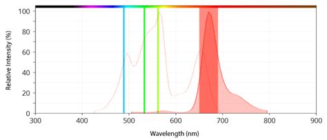 Buccutite™ Rapid Pe Cy55 タンデム抗体標識キット コスモ・バイオ株式会社
