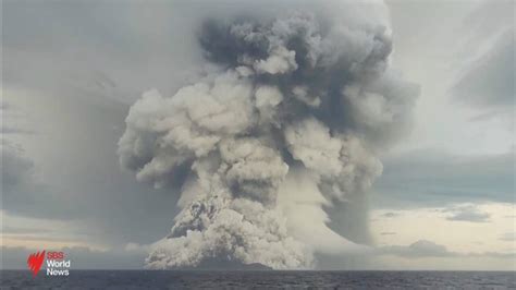 Signs Of Life Emerging Almost Four Years On From Eruption Of Hunga