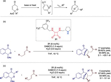 Asymmetric Cycloaddition Reactions Catalyzed By Bifunctional Thiourea And Squaramide