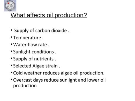Biodiesel From Algae Ppt
