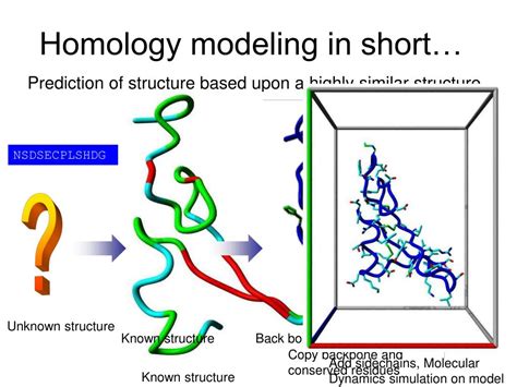Ppt Homology Modeling Powerpoint Presentation Free Download Id 2884946