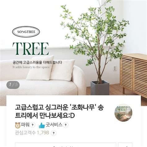 송트리 플랜테리어 조화생화 조경연출 및 조화판매 세 차례의 상표등록 짧게는 반년 길게는 1년 반이 걸린 과정 상표권은