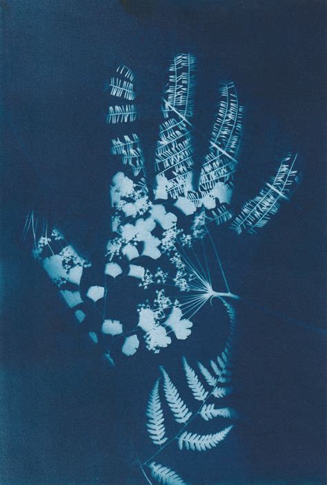Traditional Cyanotypes Mirrored Images