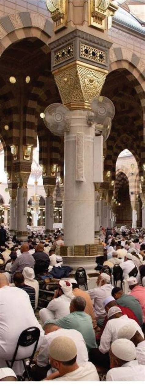 ثقافة ترفيه سياحة جريدة المدينة