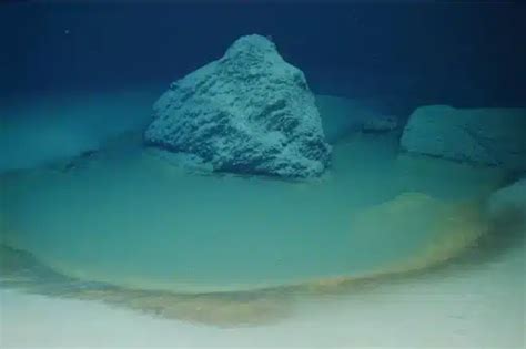 Scary Scientists Warn Of ‘dead Pool In Red Sea That Instantly Kills