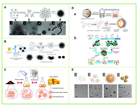 A Schematic Representation Of The Colloid Formation Process Of The