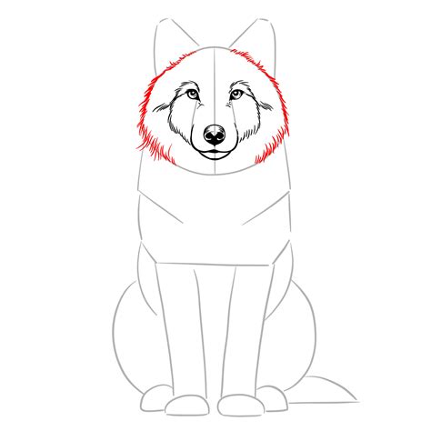 How To Draw Wolves In Different Poses And Styles 14 Guides
