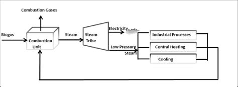 Schematic Representation Of Process That Obtained Electricity And