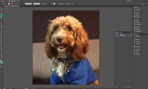 How To Create Low Poly Art In Adobe Illustrator Engage