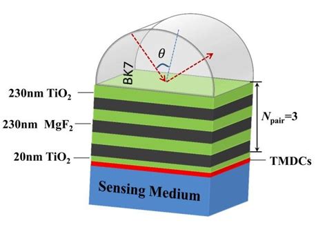Schematic Diagram Of Bsw Optical Sensor Coated With Tmdcs Mose2 Wse2