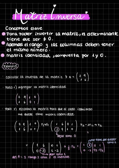 Matriz Inversa María Ignacia Udocz