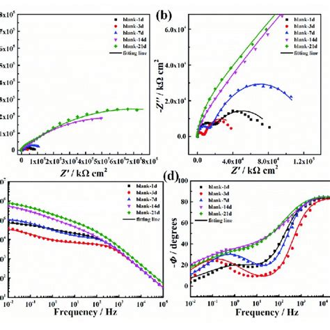 The Nyquist And Bode Plots Of The Blank Epoxy Coating Without Addition