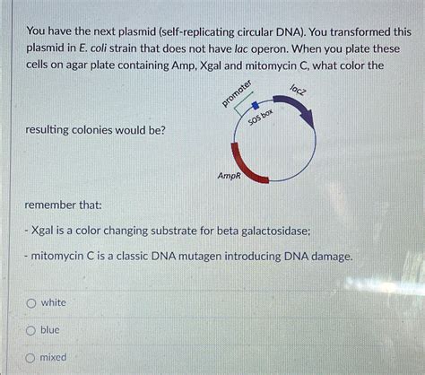 Solved You Have The Next Plasmid Self Replicating Circular