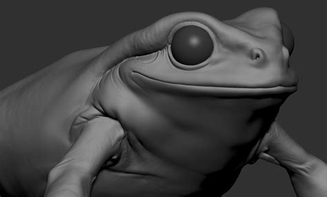 3d Frog