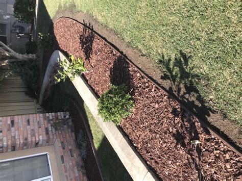 Landscape Bender Board Edging Comparing Bender Board Landscape Edging