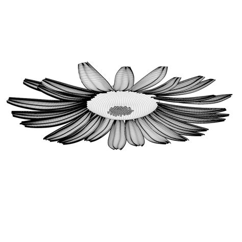 Daisy 3d Model 29 Fbx 3ds Obj C4d Free3d