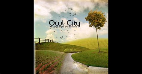 ‎all Things Bright And Beautiful Album Von Owl City Apple Music