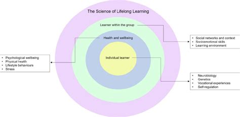 Schematic Representation Of The Biological Individual Learner