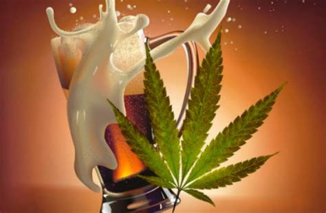 ¿cuáles Son Las Drogas Más Comunes