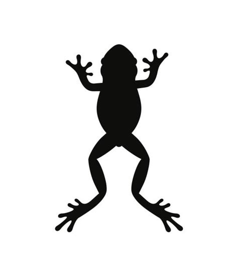 Frog Silhouette Illustrations Royalty Free Vector Graphics And Clip Art
