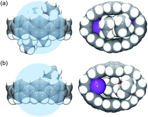 Comparison Of Host Guest Interactions Of 14 Nanohoop In 2 A Vs That Download Scientific