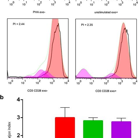 Investigating The Effect Of Msc Exo On The Proliferation Of Splenocytes