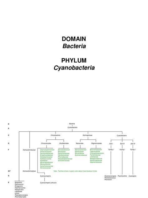 Taxonomic Classification Of Cyanobacteria An Illustrated Key Of Orders