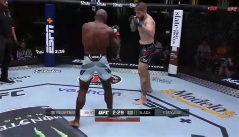 Khalil Rountree Vs Chris Daukaus Brutal Ko ☠️💀☠️💀 R Fightingcirclejerk