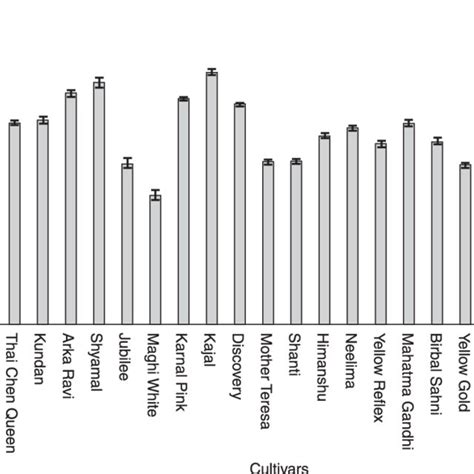 Leaf Longevity Of Different Chrysanthemum Cultivars Download
