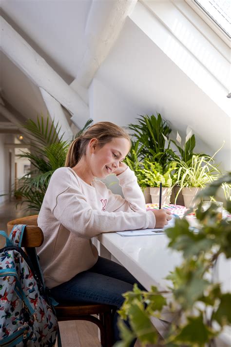 Luchtzuiverende Planten In Huis Uw Woonmagazine Nl